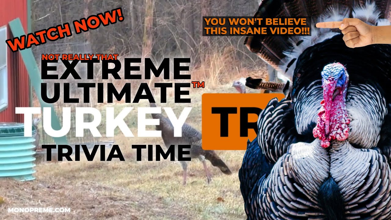 Midwest USA Wild Turkey Trivia Tube - YouTube