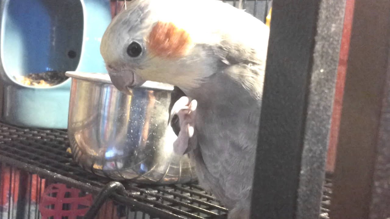 Hiccup and his foot - YouTube