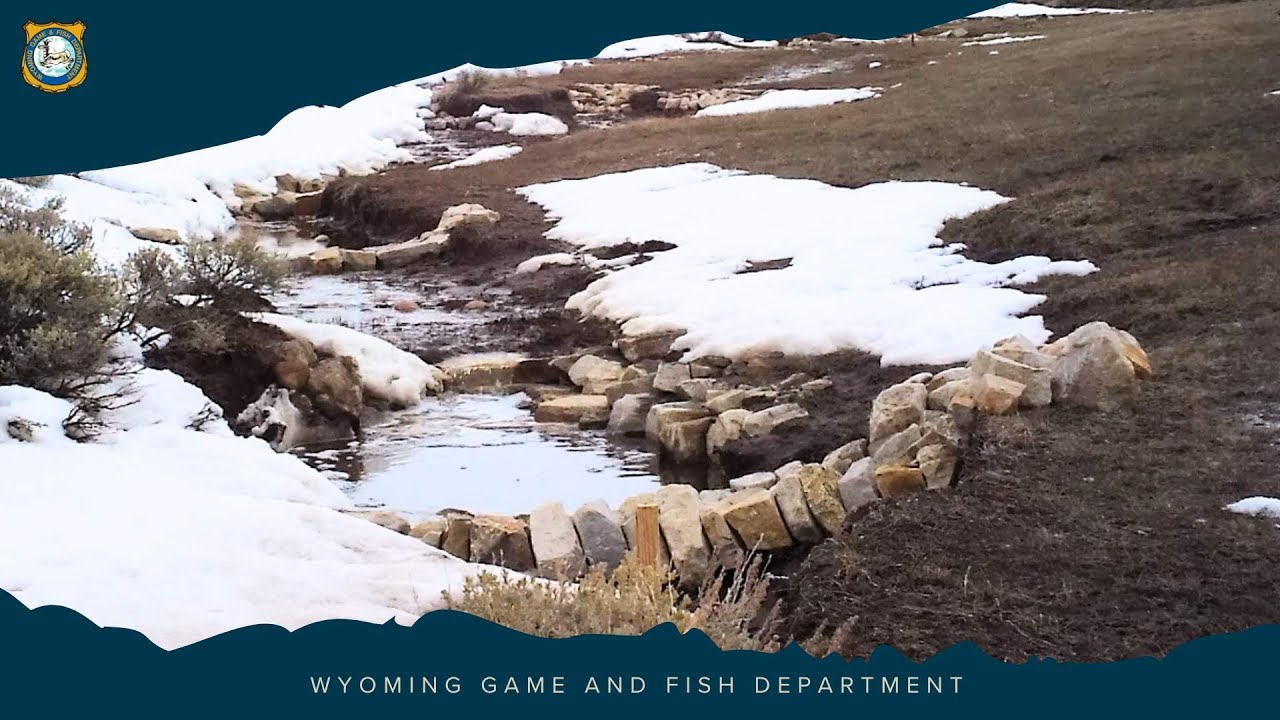 Zeedyk Structure Timelapse - YouTube