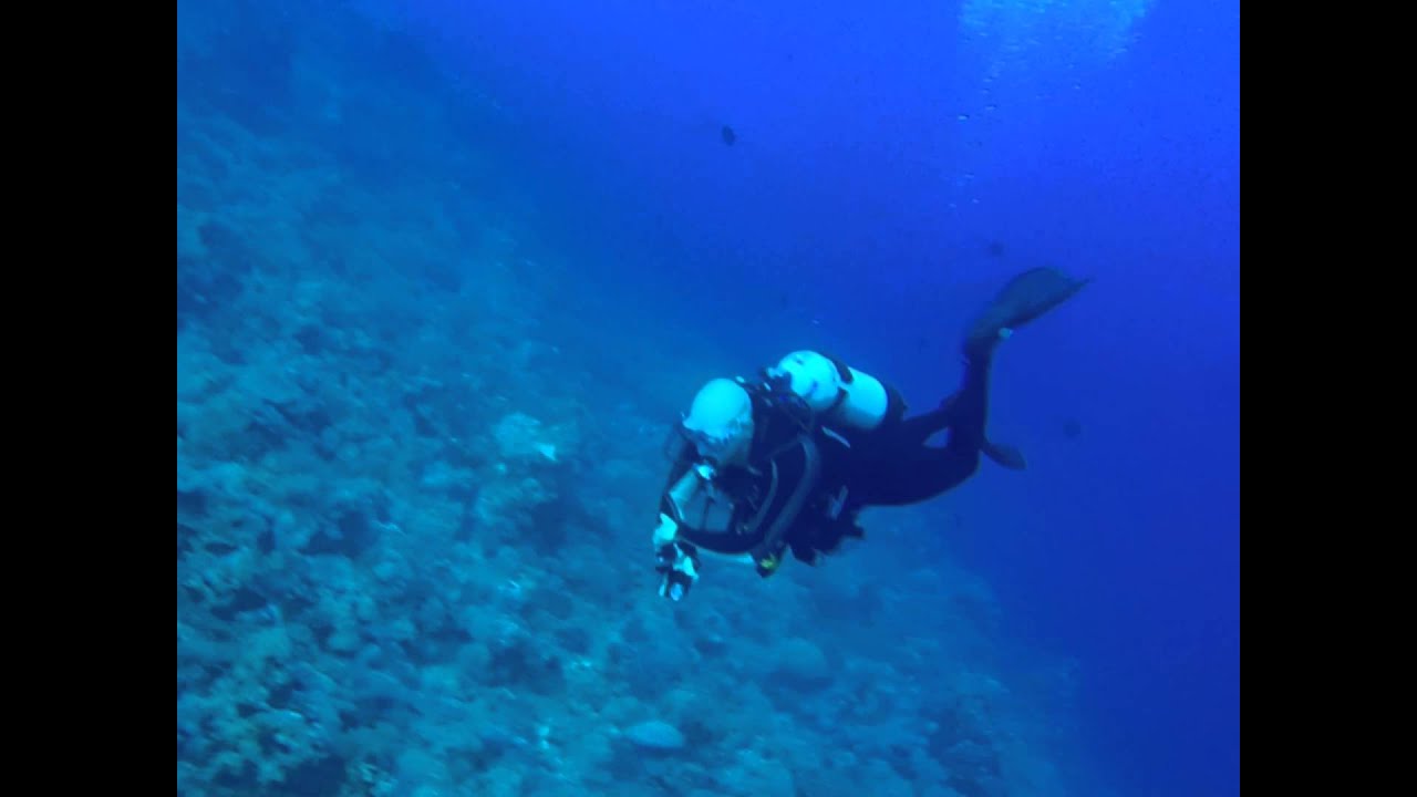 MORE FROM EGYPT TRIP 2015 YouTube more-from-egypt-trip-2015-youtube