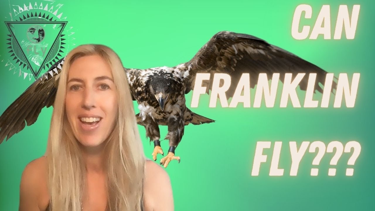 FLY Token VRM!!! Can Franklin Fly??? - YouTube