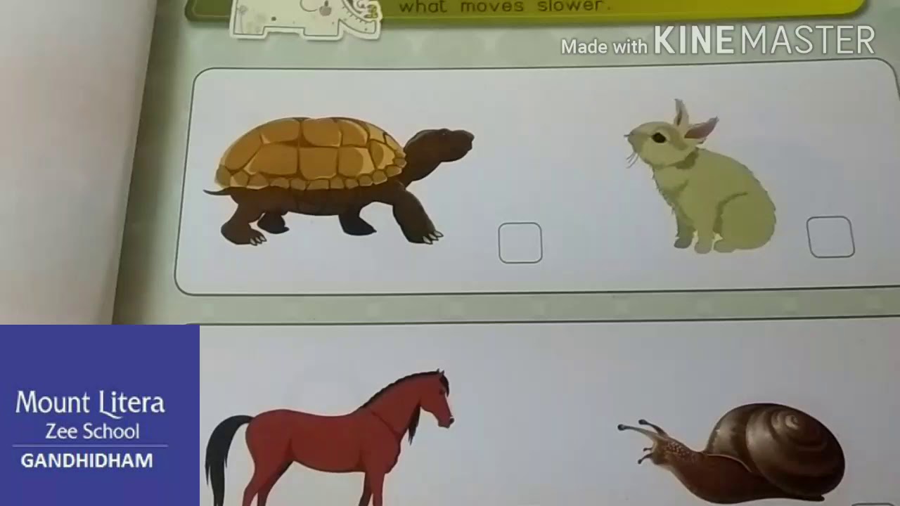 Fast and slow class Nursery - YouTube