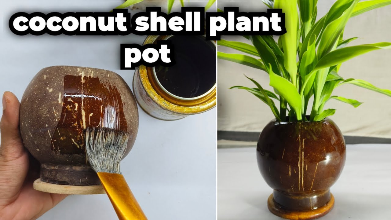 easy making a coconut shell plant pot | coconut shell craft ideas | # ...