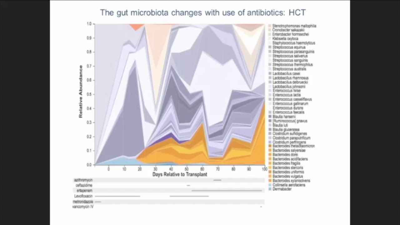 Cancer and the Human Microbiome - David Fredricks, M.D. - YouTube