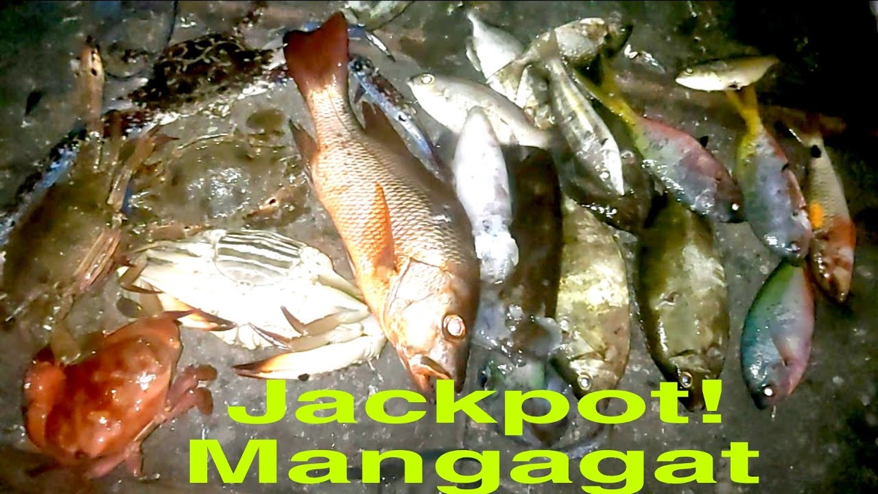 SPEARFISHING AT NIGHT| NAKARAMI NG HULI|MANGAGAT#fishingvideo - YouTube