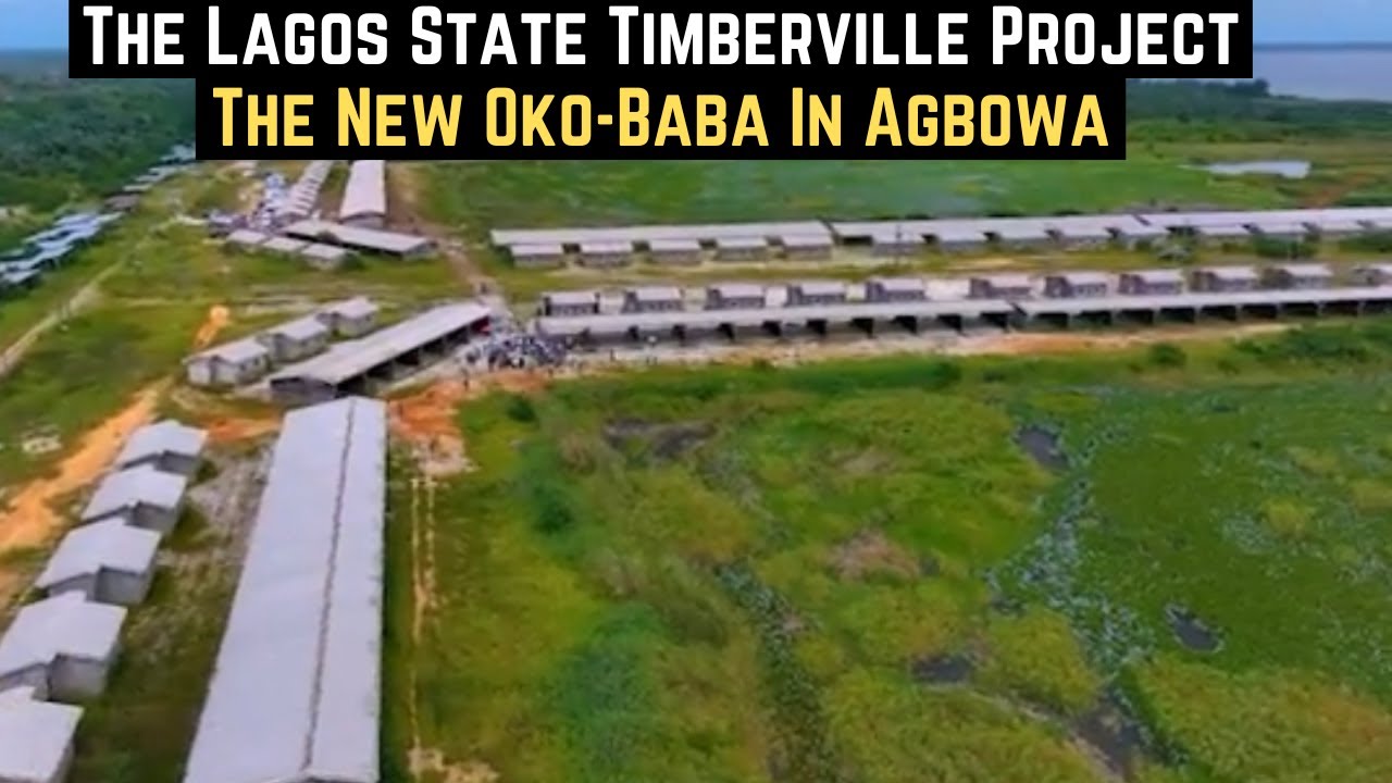 The New Oko Baba Sawmill || The Lagos State Timberville Project - YouTube