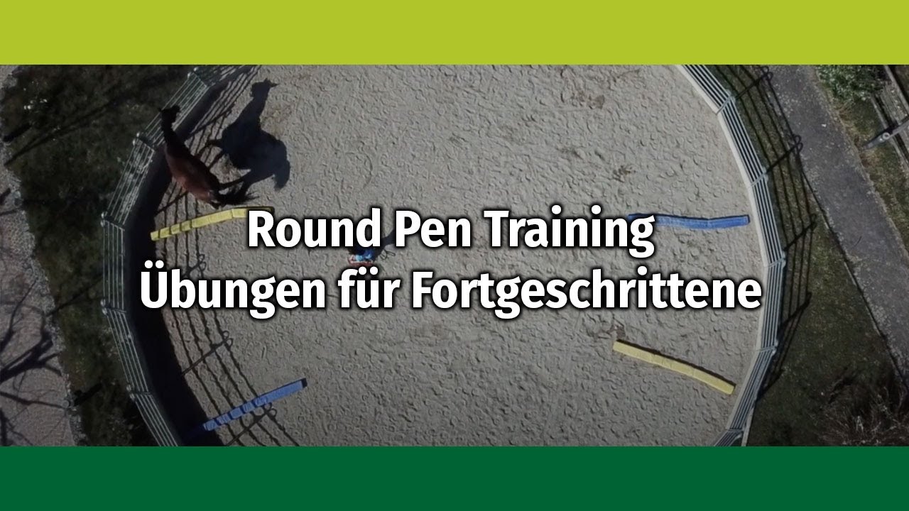 Eschbach Horsemanship Round Pen Training Übungen für Fortgeschrittene ...