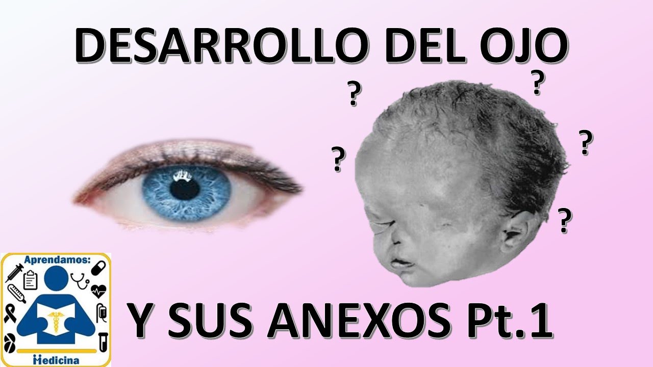 Embriologia: Desarrollo del ojo y sus derivados (Parte 1) - YouTube