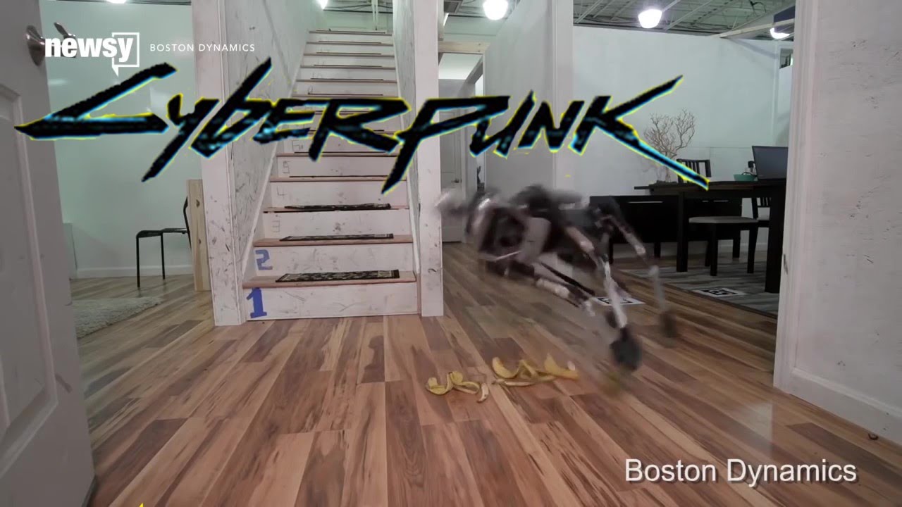 Cyberdog 2077 (EPIC FAIL) - YouTube
