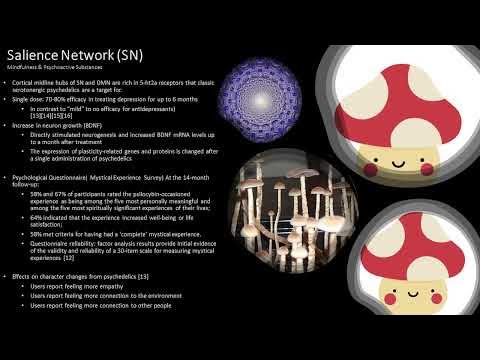 The Four Main Brain Networks (Salience, Default Mode, Central Executive ...