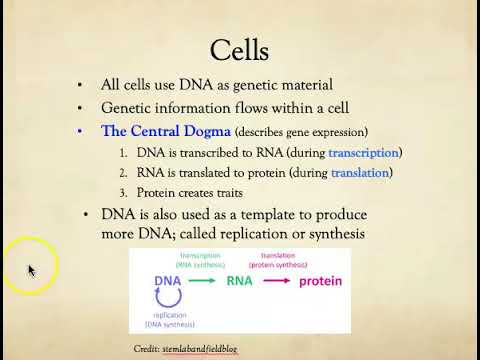 BIO312 Universal Characteristics of Cells & Biochemistry (#2of3) - YouTube