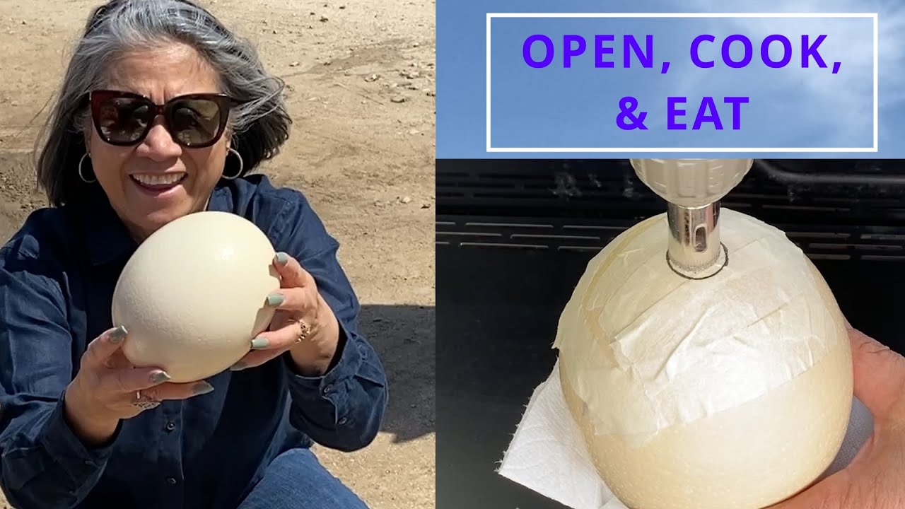 How to open Ostrich Egg, Cooking Ostrich Egg, Ostrich Egg Taste ...