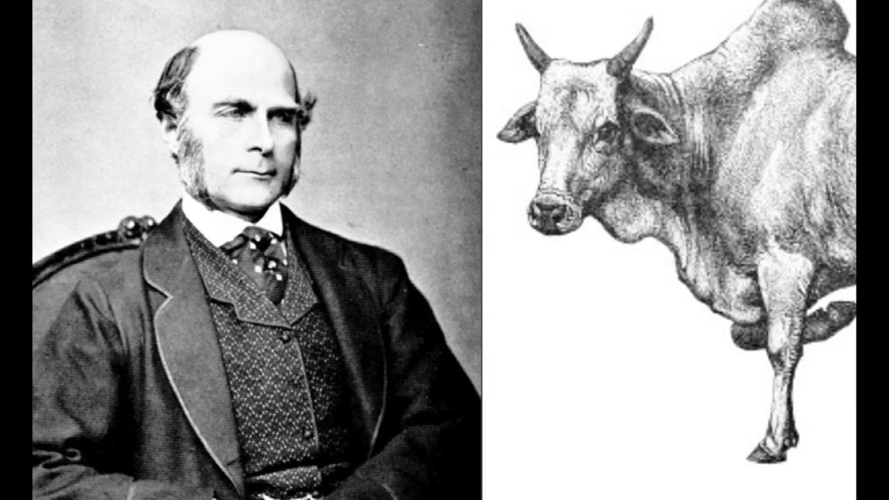 Michael Bernstein, "Crowds, Computation, and the Creation of a Globally ...