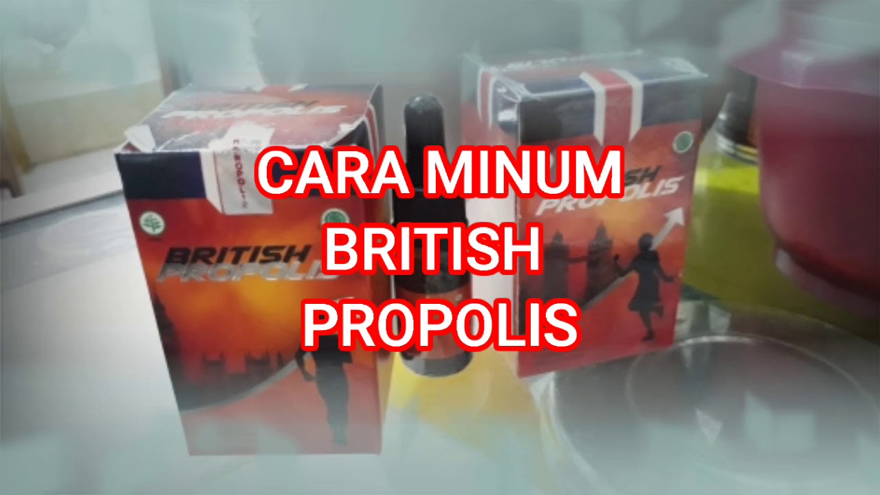 Cara minum British propolis - YouTube