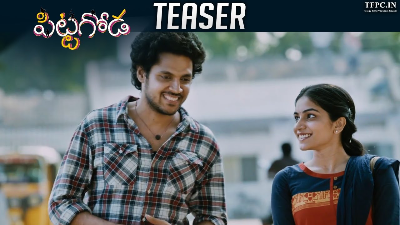 Pittagoda Teaser | Official | Vishwadev Rachakonda | Punarnavi Bhupalam ...