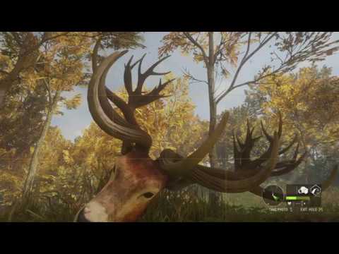 theHunter Call of the Wild - My First Diamond Red Deer (Level 9 ...