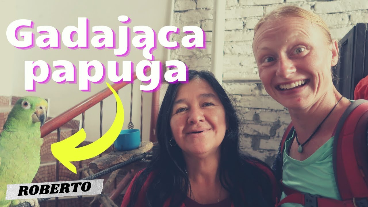Papużka Roberto🦜⏐San Augustin⏐KOLUMBIA 🇨🇴 w 2023 - YouTube