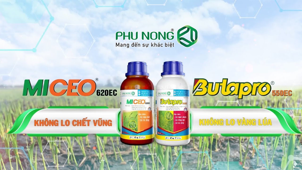 Quản lý cỏ dại đầu vụ bằng bộ đôi MICEO 620EC và BUTAPRO 550EC - YouTube
