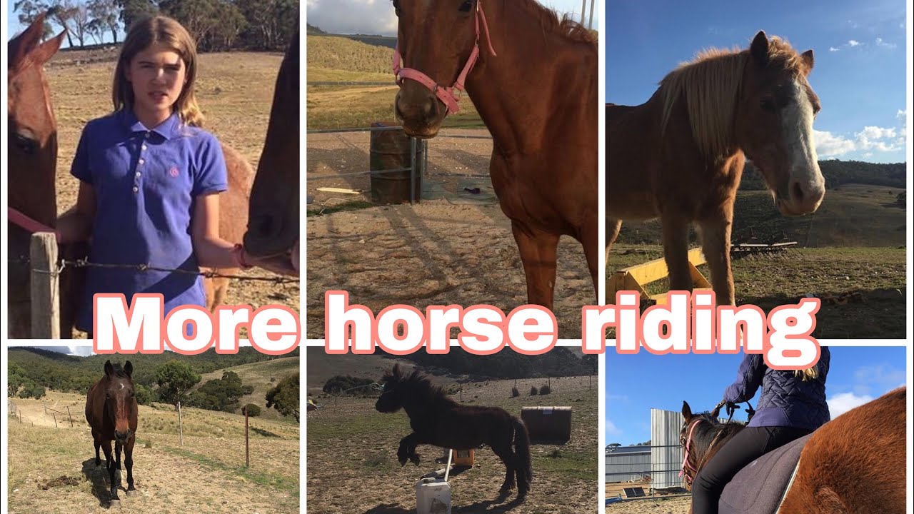 Riding edit «pony riders» - YouTube