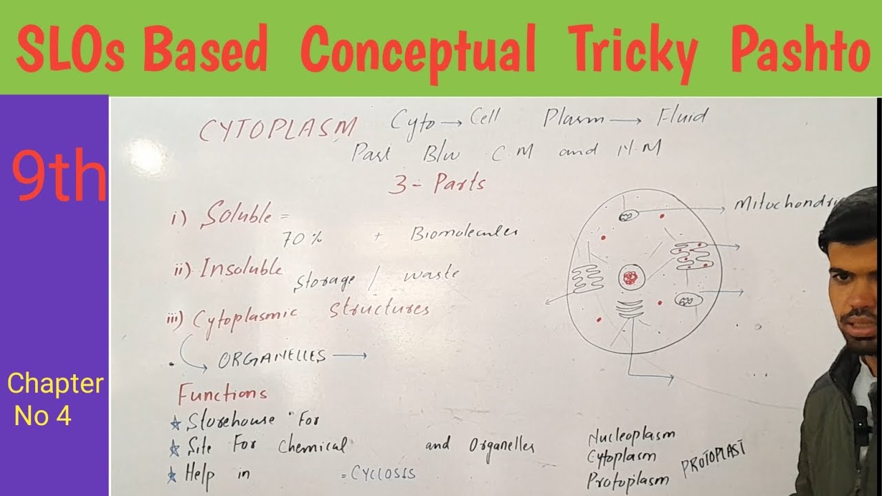 31 Cytoplasm cytosol structure and function biology - YouTube