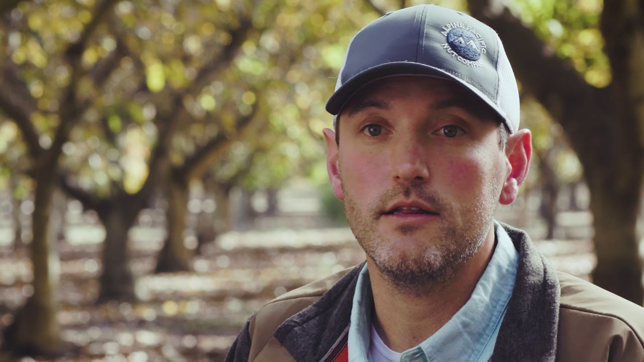 Walnut grower Davin Norene on the benefits of ASSAIL® Insecticide - YouTube