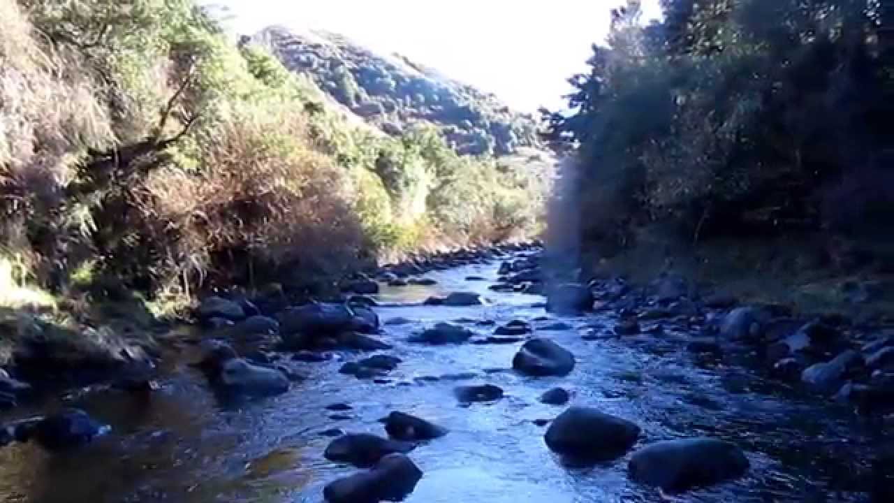 Waihi River - YouTube