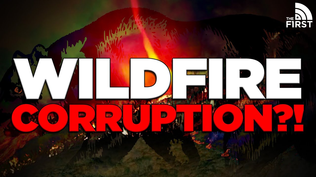 Corruption EXPOSED In California Wildfire Aftermath - YouTube