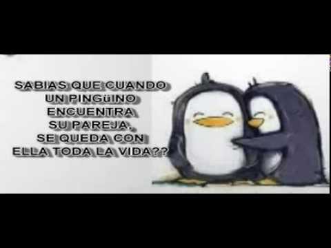 VETE CON EL AMOR RICARDO ACOSTA - YouTube