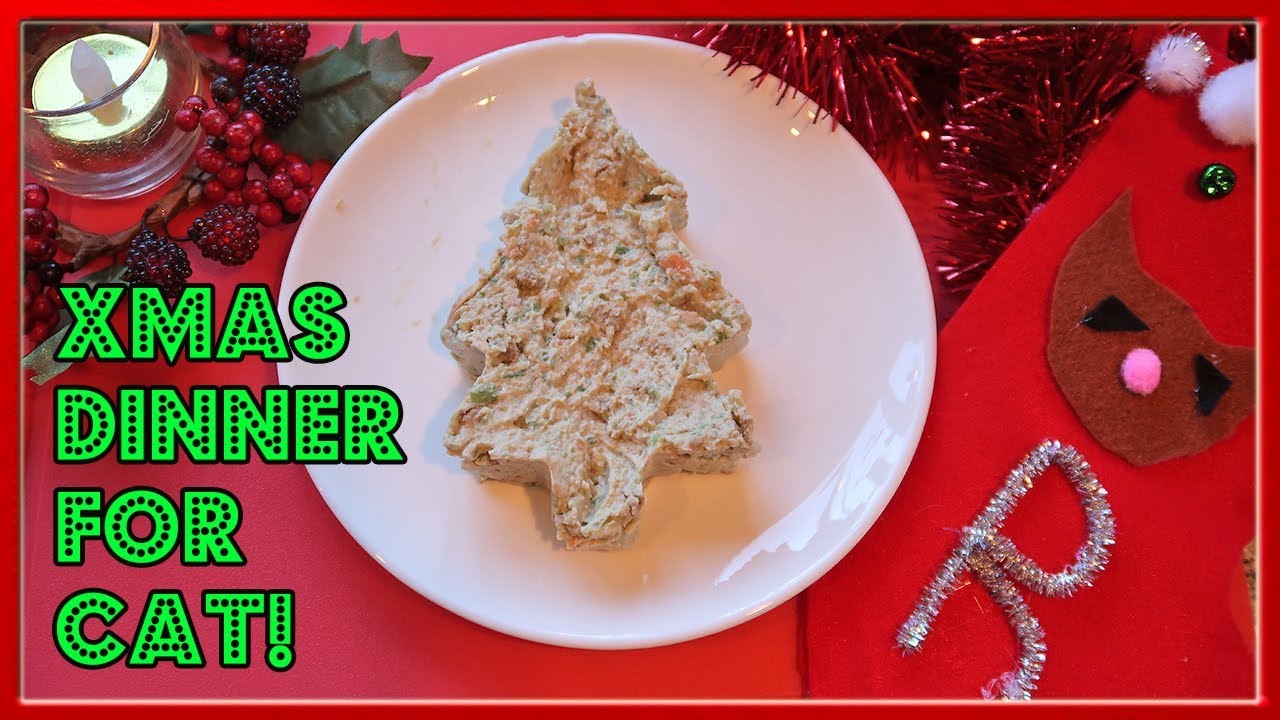 Cat Christmas Dinner! Homemade Cat Xmas Dinner - Your Cat Can Join You ...