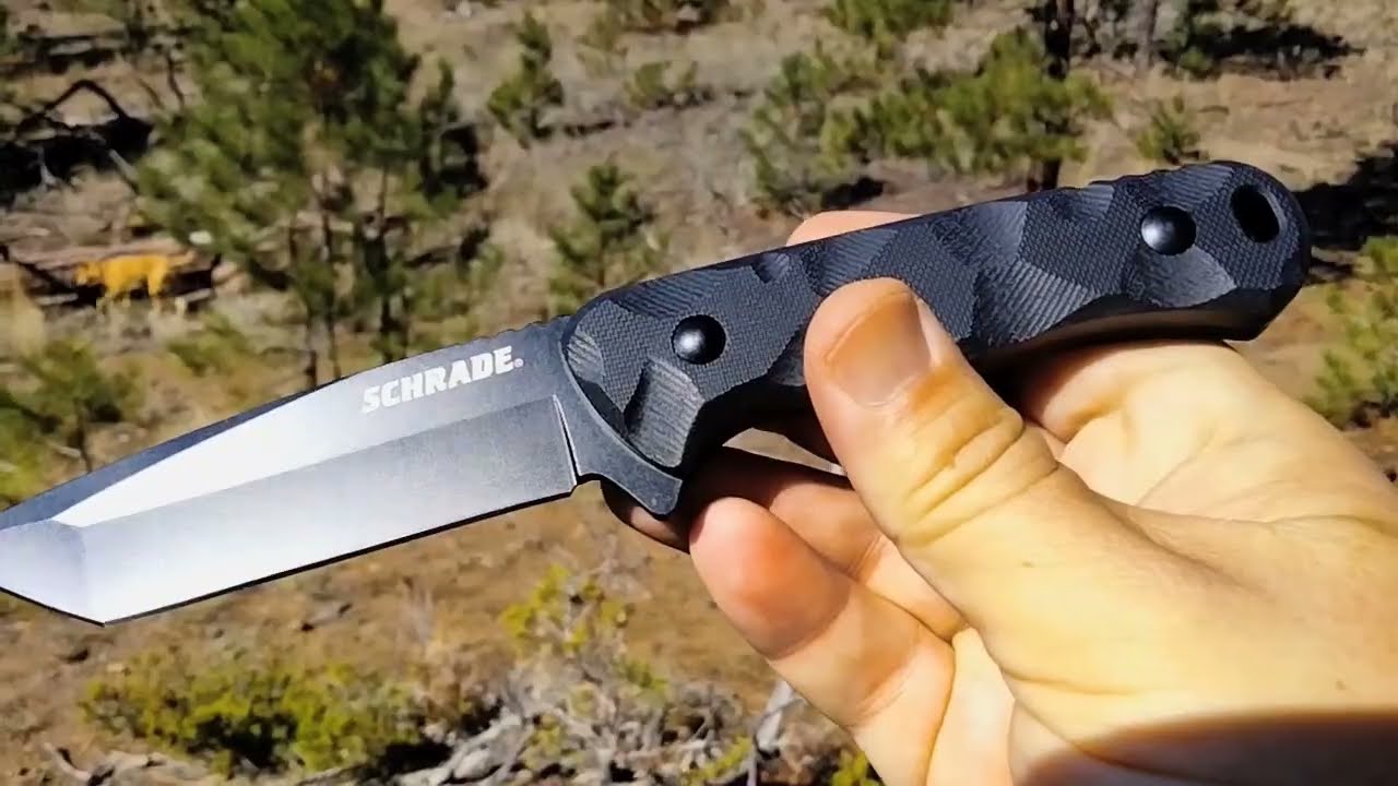 💲💲SCHRADE REGIME TANTO FIXED BLADE - 💲12 - (SEE DESCRIPTION FOR LINK ...