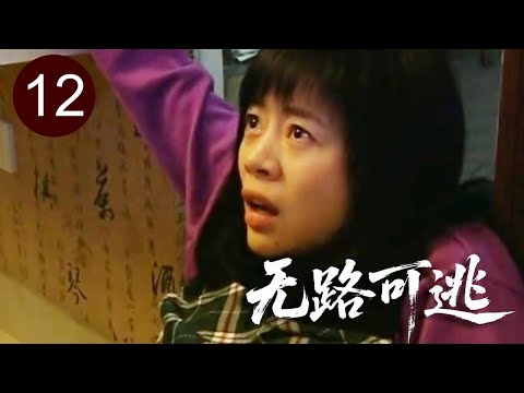 【热播刑侦剧】无路可逃 12 END｜小司机卷入命案被警方全城搜捕！24小时生死追凶，他究竟能否洗脱嫌疑？