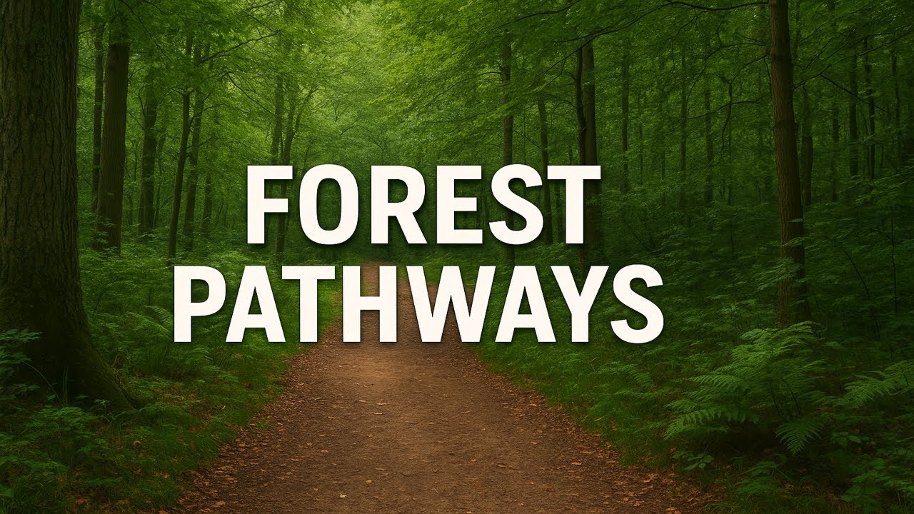 Relaxing Music | Classical Piano | Forest Pathways - YouTube