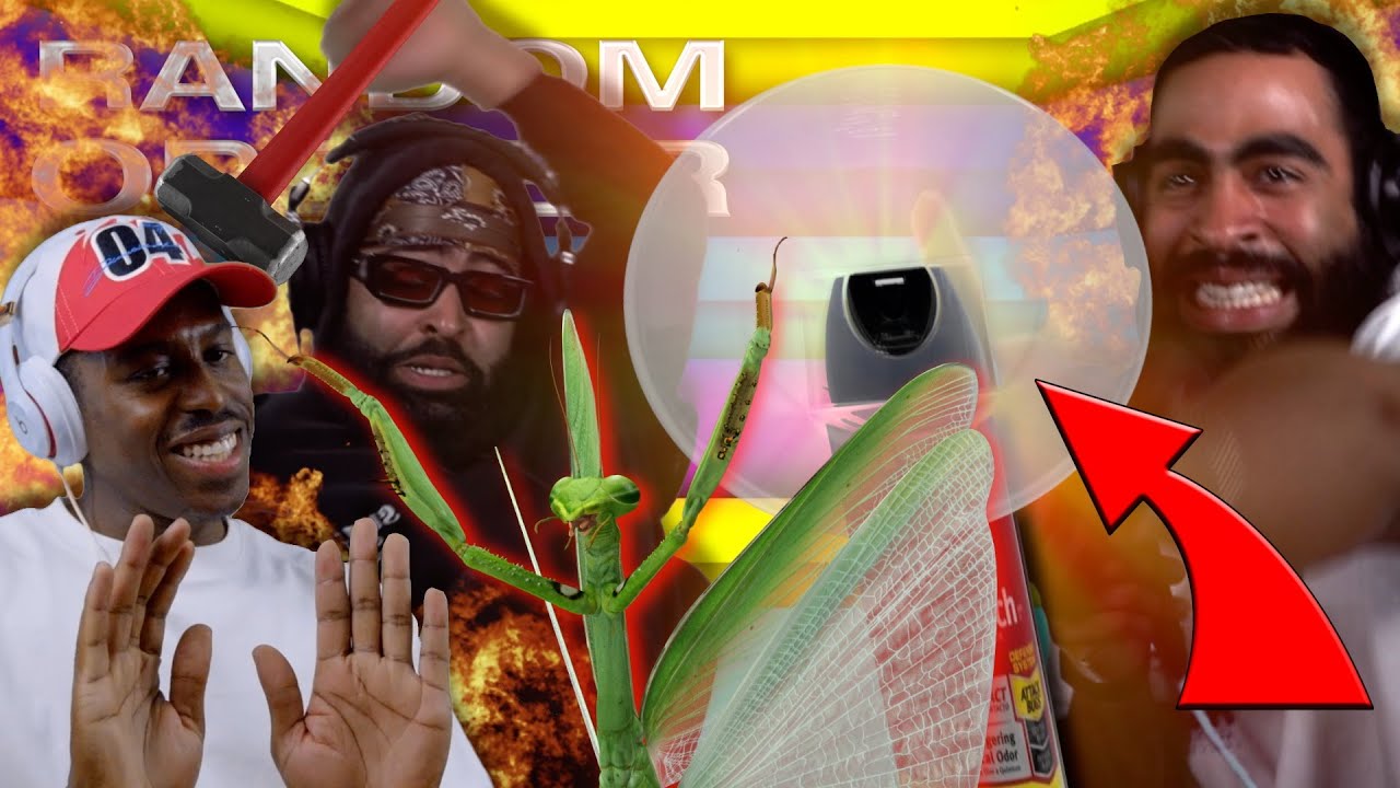 The Super Duper RAID Extendo-Grip Bug Decimator ― RO Show 194 - YouTube