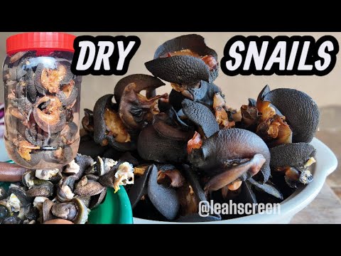 HOW TO PREPARE SNAILS FOR EXPORT !! SNAILS CLEANING & DRYING NIGERIA ...