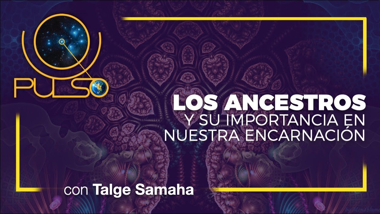 PULSO 1111 con TALGE SAMAHA | "Los ancestros y su importancia en ...