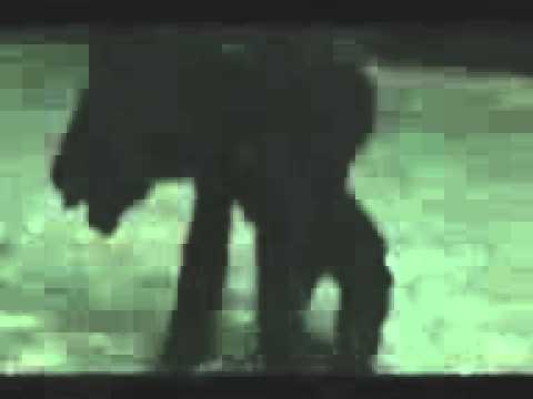 Lobizon en Monte Caseros - YouTube