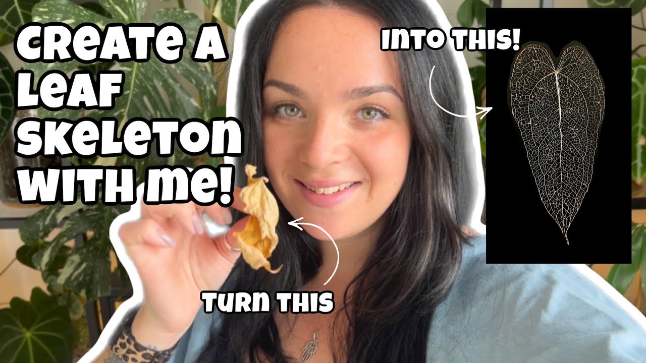 How to make a leaf skeleton ☠ Anthurium skeleton leaf 👻 Spooky Season 👻 ...
