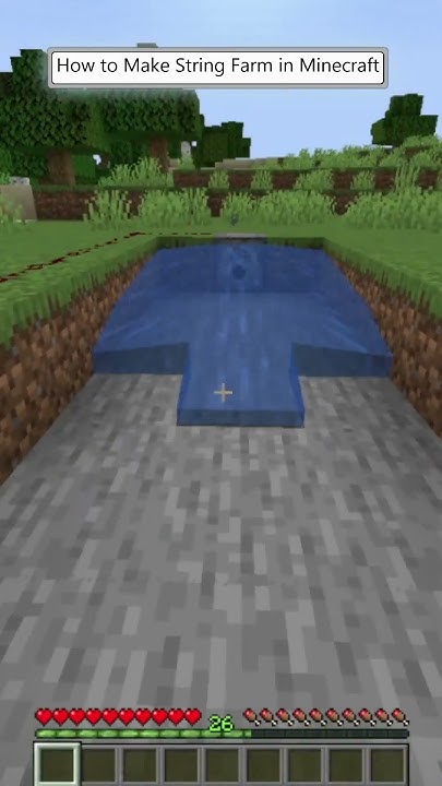 How to Make String Farm in MINECRAFT | #shorts - YouTube