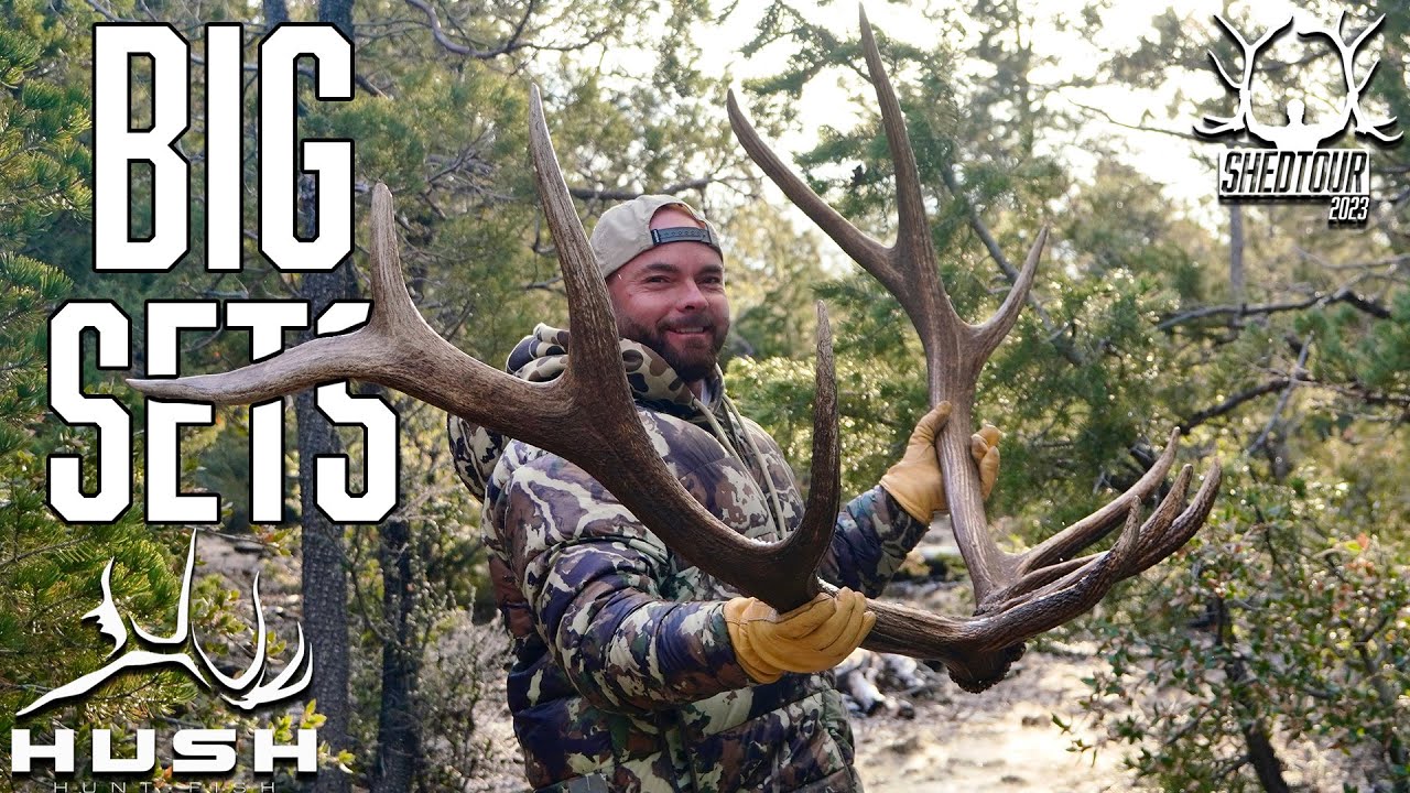 BIG BROWN ELK SHED SETS | SHEDTOUR S5EP3 - YouTube