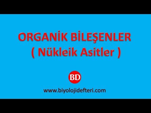 NÜKLEİK ASİTLER#3 ( YKS 2022 )