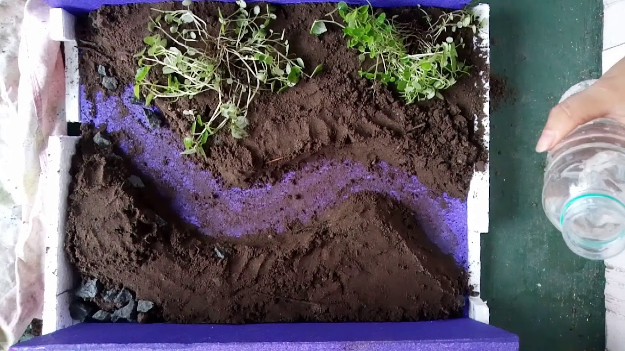 VIDEO MEDIA PEMBELAJARAN GEOGRAFI SIMULASI EROSI DAN SEDIMENTASI - YouTube