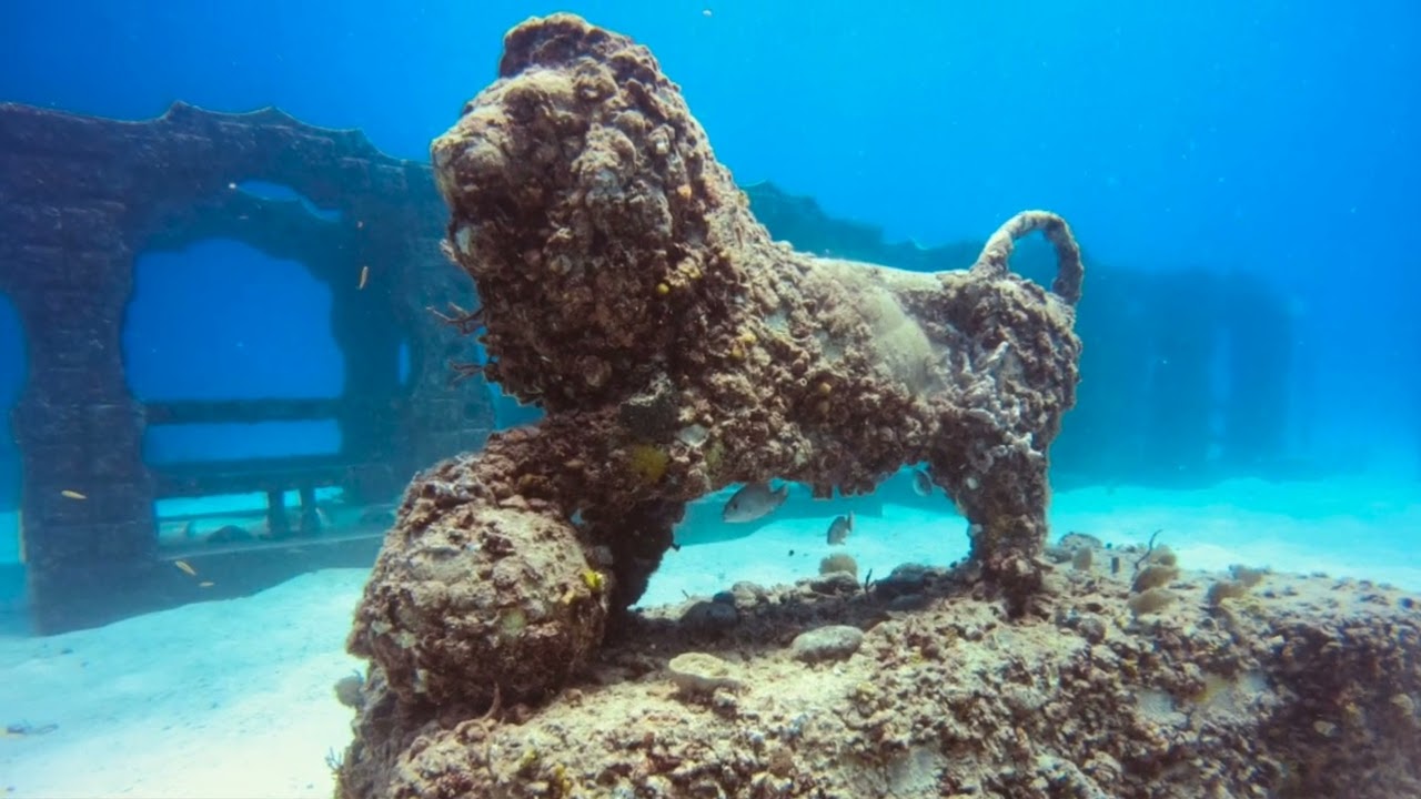 Neptune Reef's Dive Master giving tour - YouTube