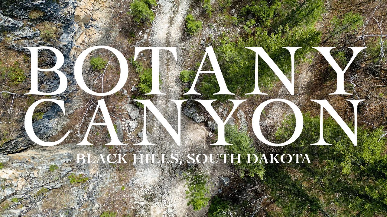 Calming Cinematic 2.7K Drone Video - Botany Canyon - Black Hills, South ...