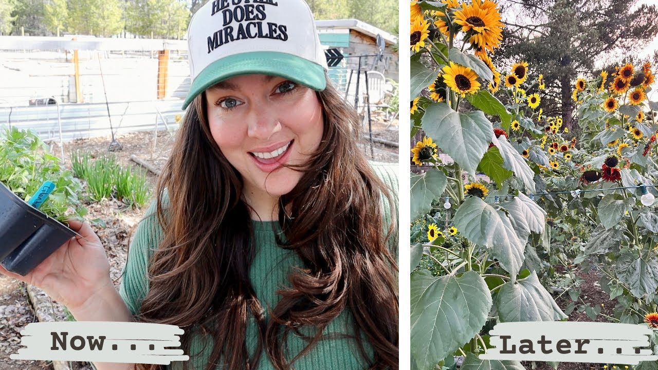 Planting this Now to get these Later (planting a short season garden ...