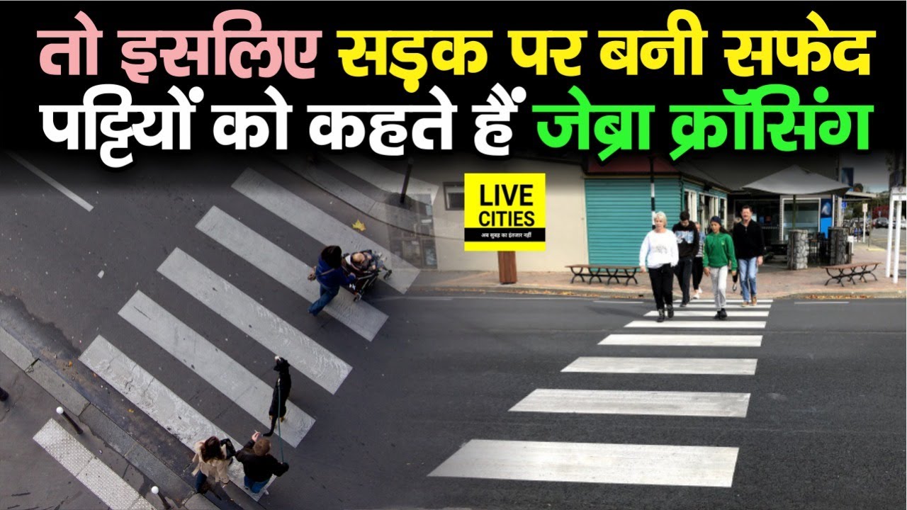 Road पार करने के लिए बनी सफेद पट्टियों को Zebra Crossing हीं क्यों कहते ...