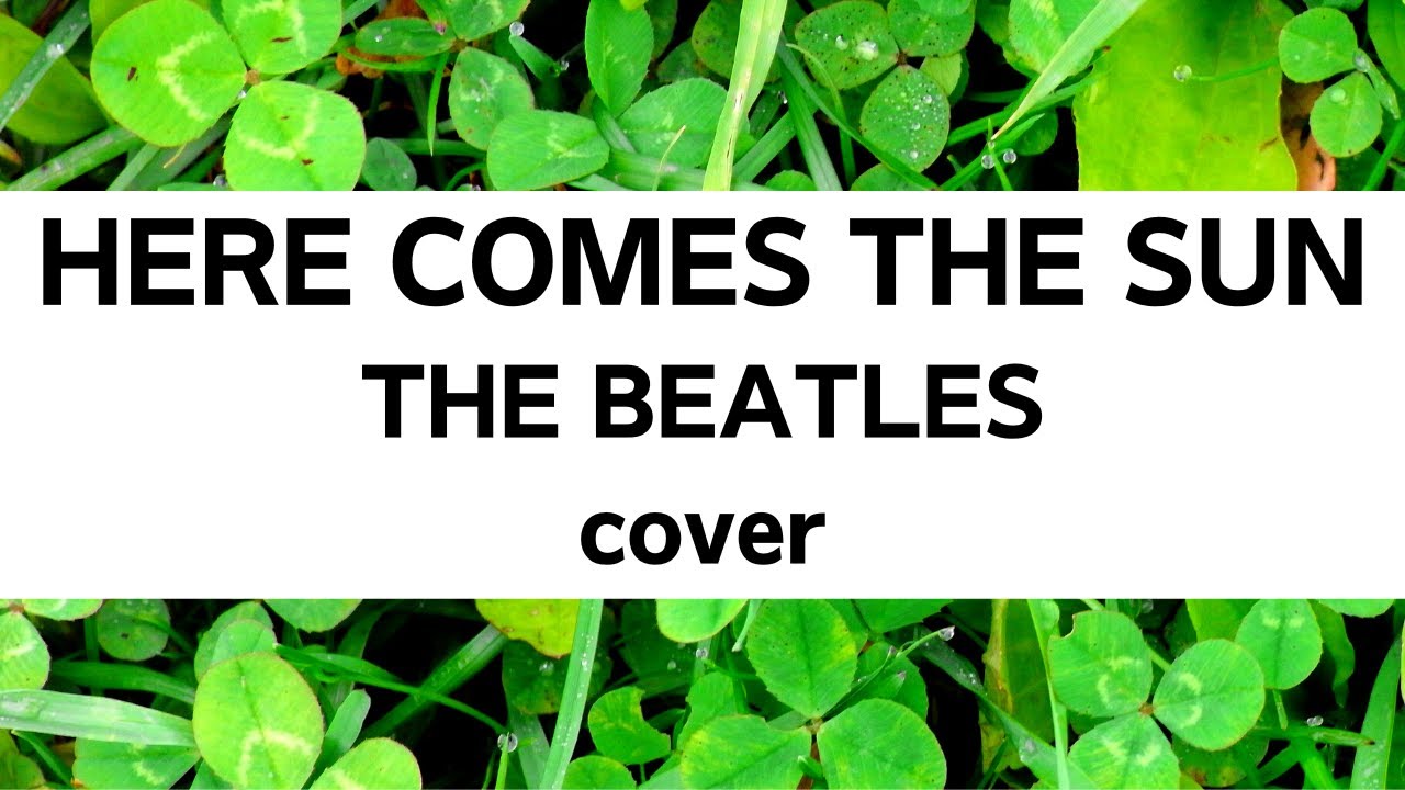 THE BEATLES:Here Comes The Sun(Cover) - YouTube