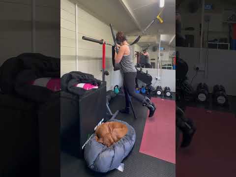 Hamstring Curl (in a hip extension bias) - YouTube