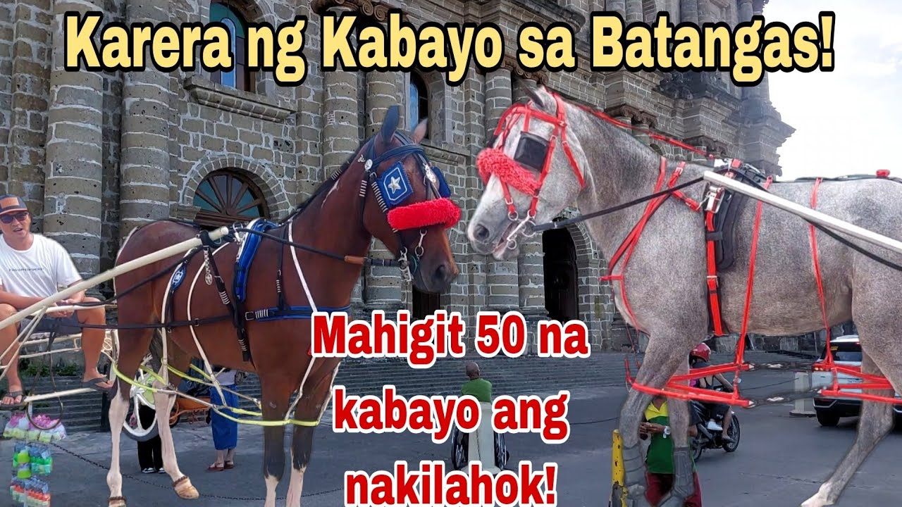 Andaming Dumayong Pangkarerang Kabayo sa Batangas! - YouTube