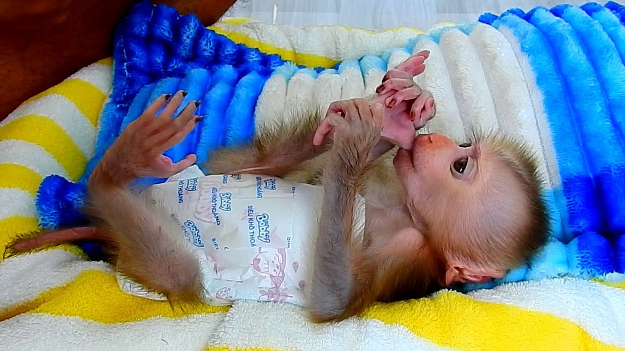 Baby relaxed with his finger after his dad wear diaper for him - YouTube