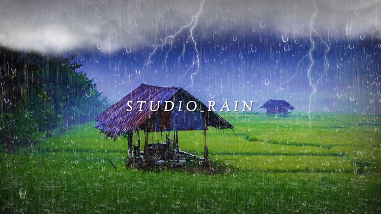 Country Rain in the Afternoon: Calm Country Rainfall to Help You Sleep ...